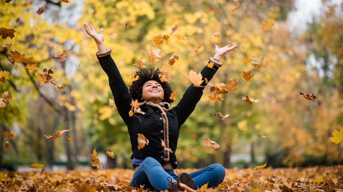 Happy November! 9+ things to do across the DMV this weekend | wusa9.com