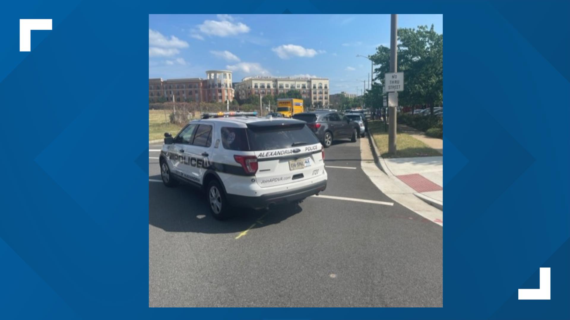 National Zoo panda cam Washington DC snow Giant Pandas enjoy snow ...
