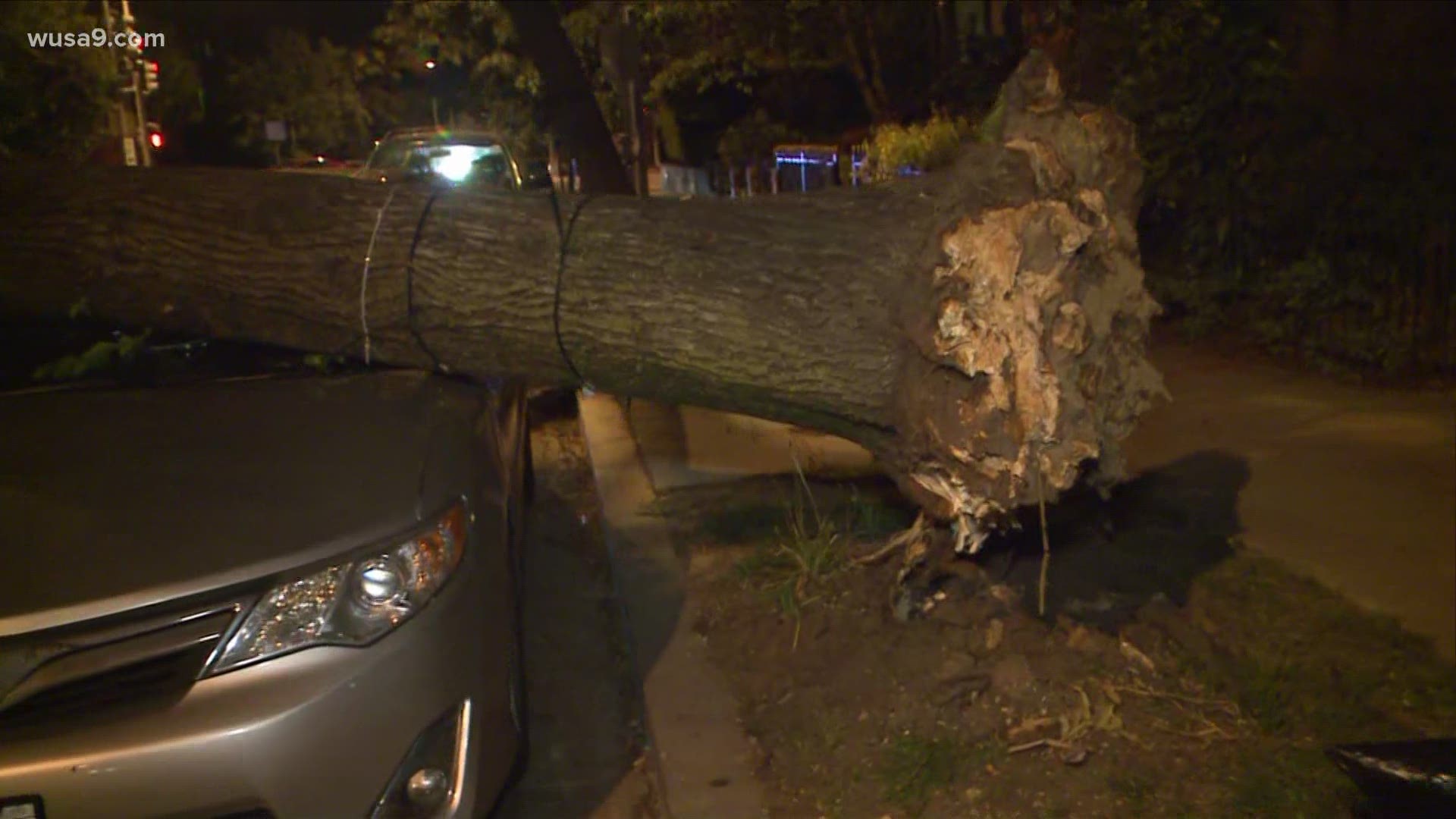 Severe winds across DC area creating downed trees in roads | wusa9.com