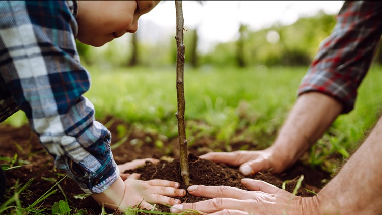 What is V-Steaming and can it really improve your health? | wusa9.com