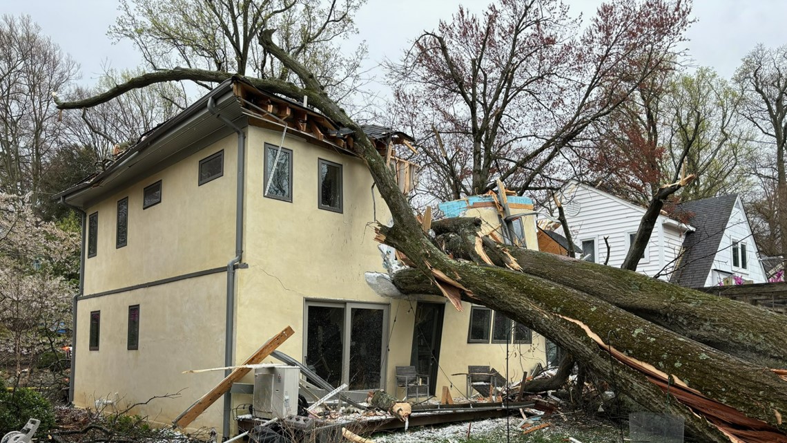 Takoma Park house destroyed by large tree | wusa9.com