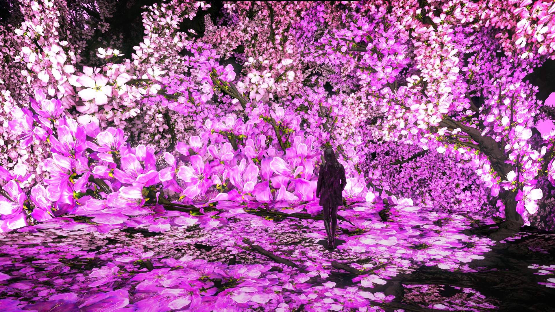 Who is Aimee Rogstad Guidera Virginia's new education secretary | wusa9.com