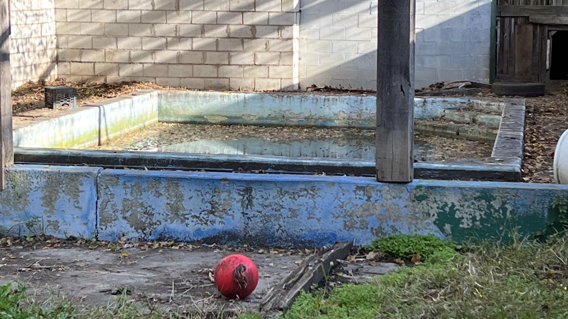 Neglected animals rescued from Maryland zoo and rehomed | wusa9.com