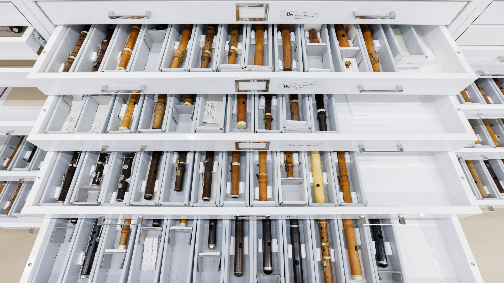 Lizzo plays James Madison's crystal flute at DC show | wusa9.com