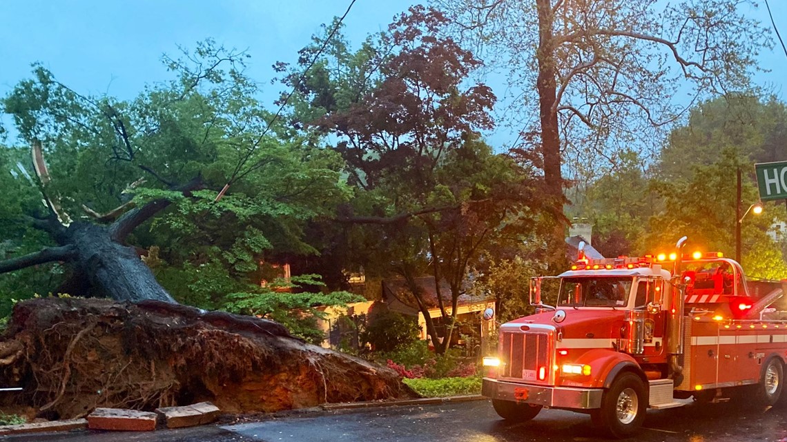 Occupants safe after large tree falls on house in NW | wusa9.com