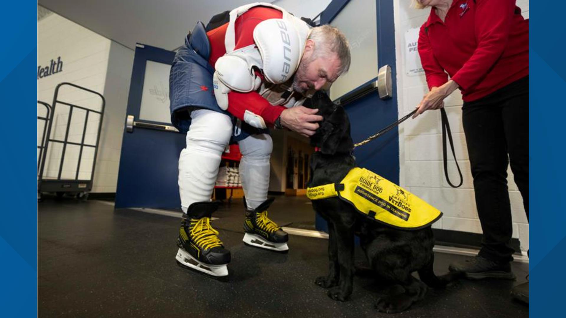 Tanner Cook reacts after jury finds man who shot him not guilty | wusa9.com