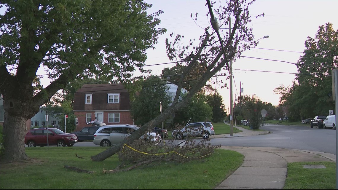 Maryland neighborhood worries after tree falls on power line | wusa9.com