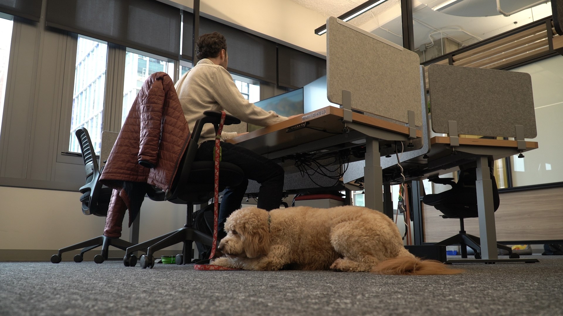 What is it like to work at Amazon HQ2 in Arlington? | wusa9.com