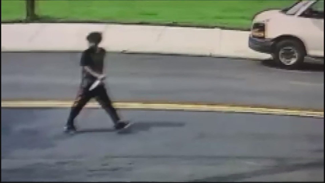 VIDEO: Silver Spring stabbing suspect caught on camera | wusa9.com