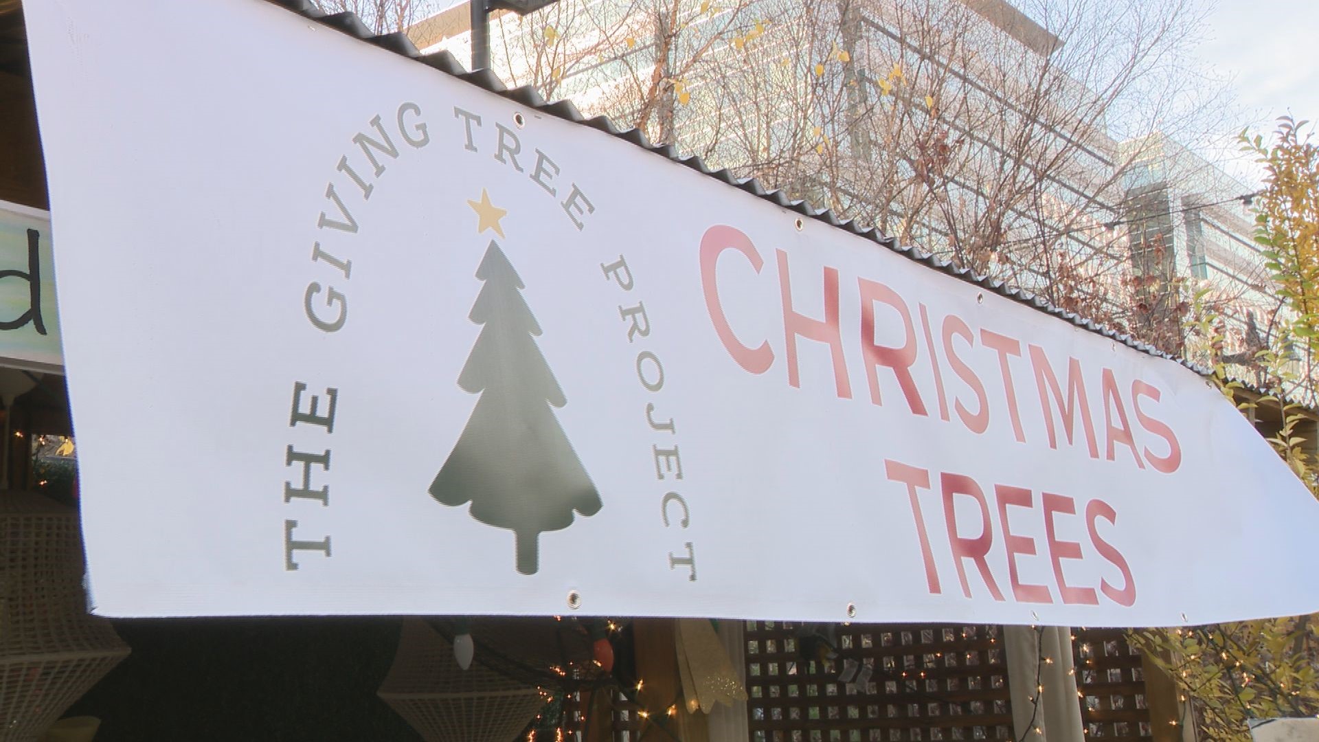 Giving Tree Project gives back | wusa9.com