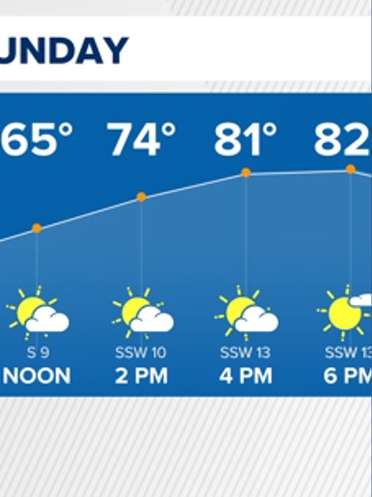 Hourly Forecast | Washington DC | wusa9.com