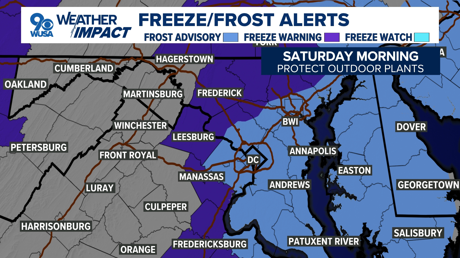 Joe Shymanski murder case: Trial date set for Brandon Holbrook | wusa9.com