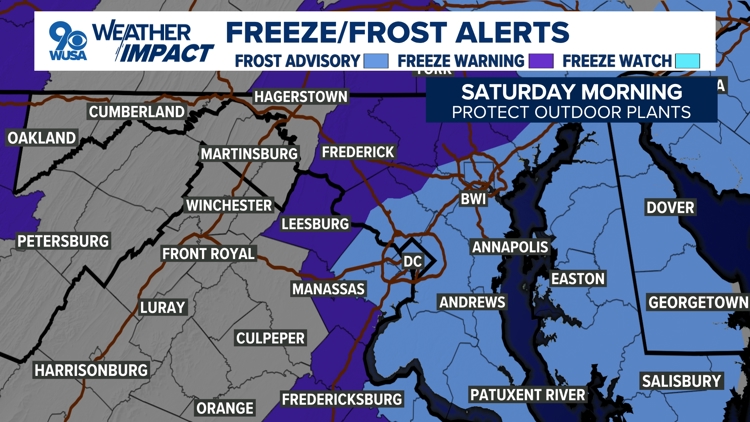 Joe Shymanski murder case: Trial date set for Brandon Holbrook | wusa9.com