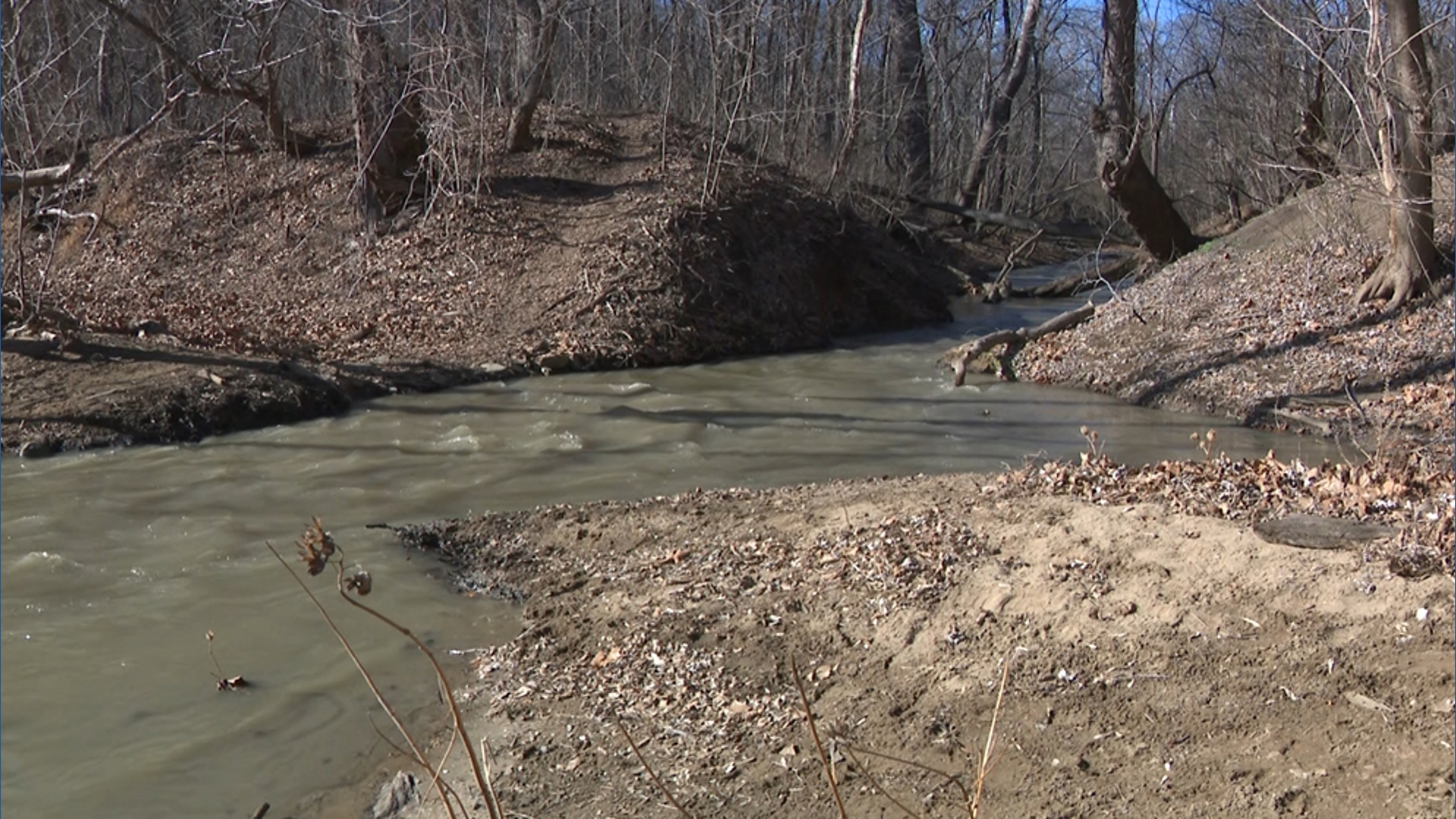 Army veteran says ICE agents detained him for hours without access to ...