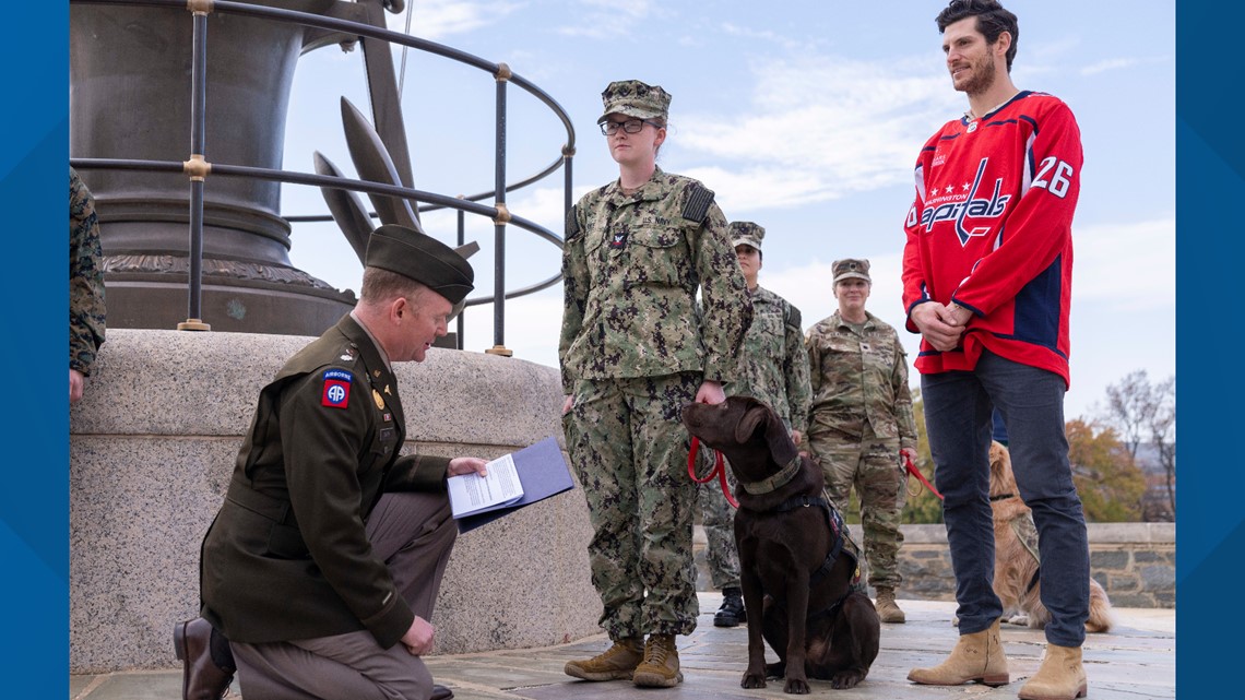 Caps service dog stationed at Walter Reed Medical Center | wusa9.com