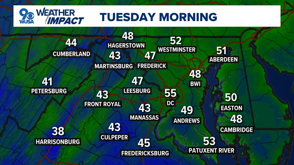 A Christmas miracle: Milo, the missing cat, has been found safe | wusa9.com