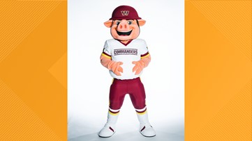 Meet Major Tuddy, the new Washington Commanders mascot | wusa9.com