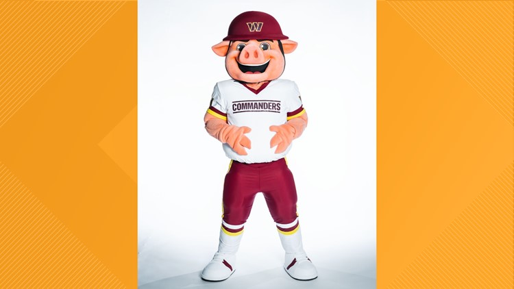 Meet Major Tuddy, the new Washington Commanders mascot | wusa9.com