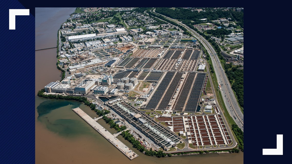 Analysis: Why slashing the EPA’s Chesapeake Bay Program is like firing ...