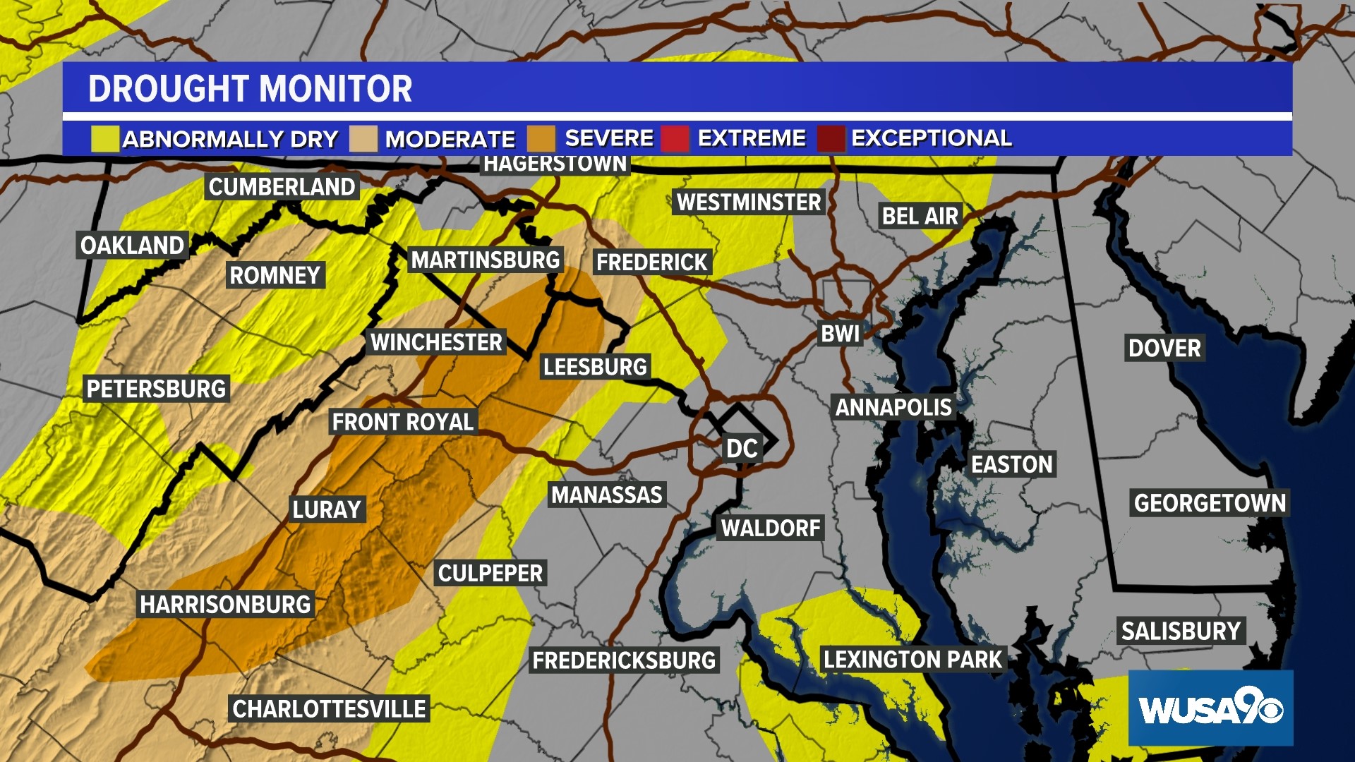 When you can expect peak fall foliage in the DMV | wusa9.com