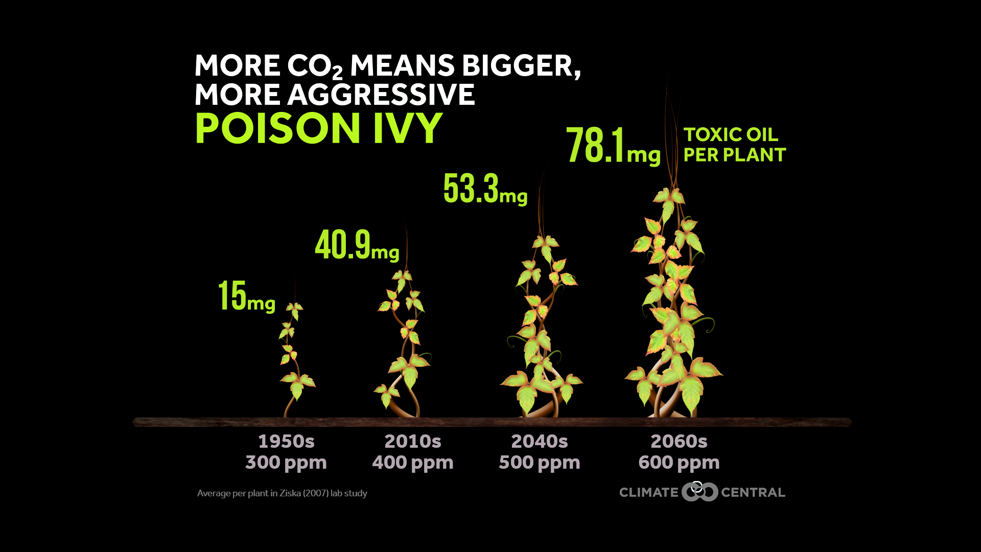 Poison ivy rash and itches: scientists say plant is more potent | wusa9.com