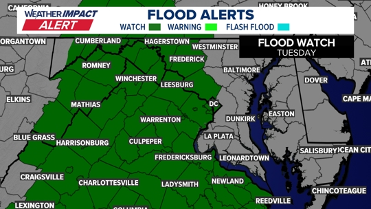National Zoo panda cam Washington DC snow Giant Pandas enjoy snow ...