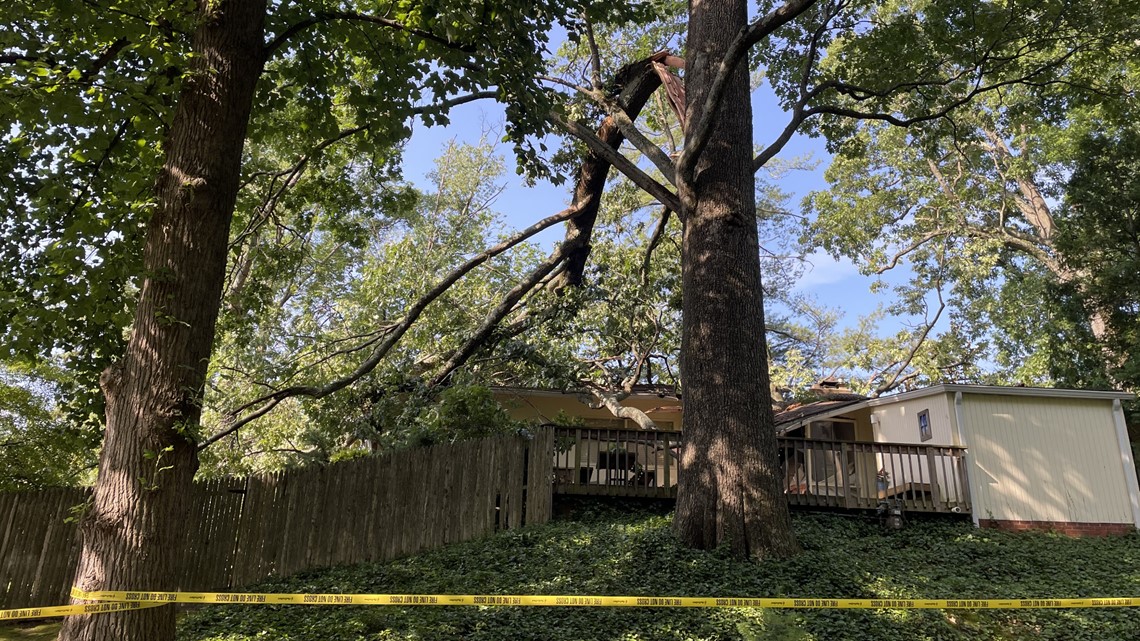 Tree falls on home in Montgomery County | wusa9.com