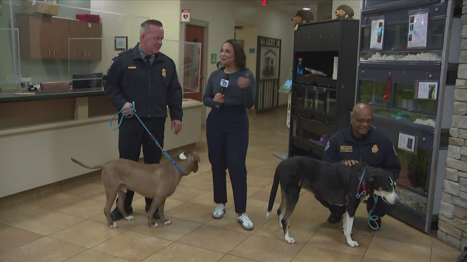 Chief vs. Chief: Fairfax County police and fire face off for dog ...