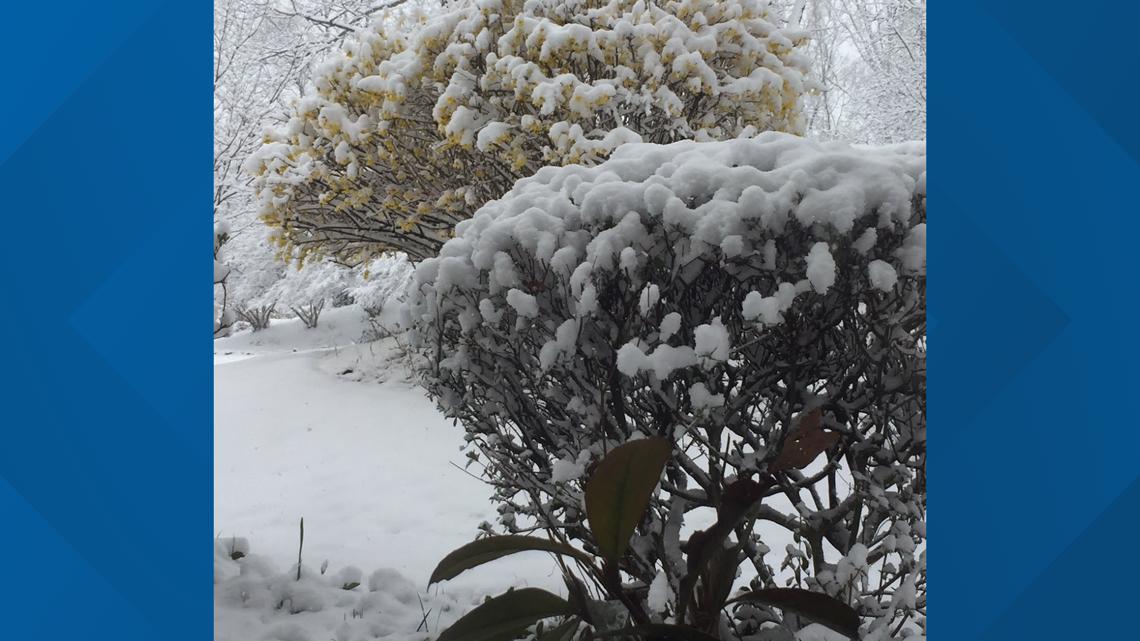 NOAA - D.C.'s March Snowfall Average has Increased | wusa9.com
