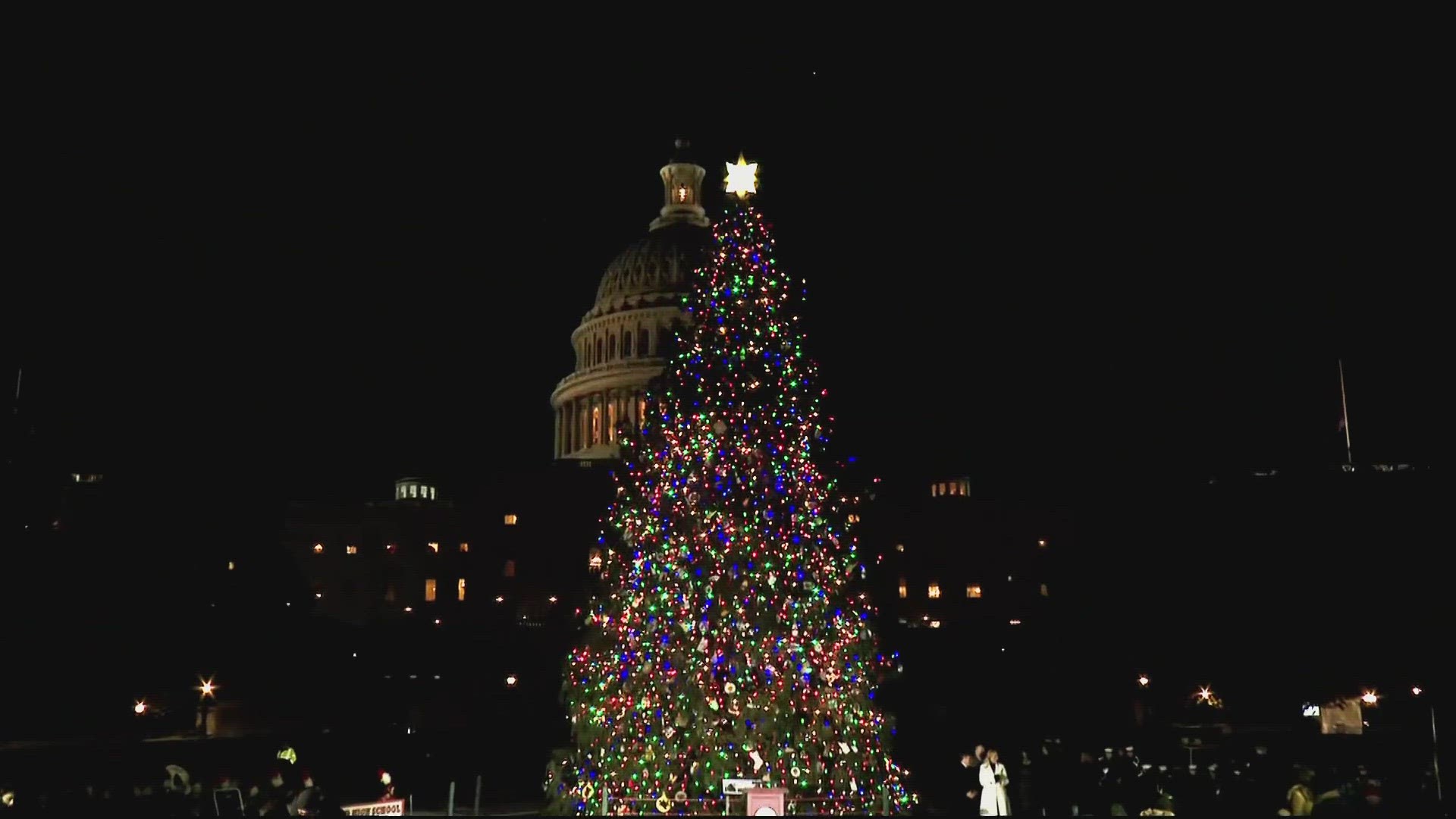 Capitol Christmas tree lighting ceremony shined bright and stood tall | The Night Cap | wusa9.com