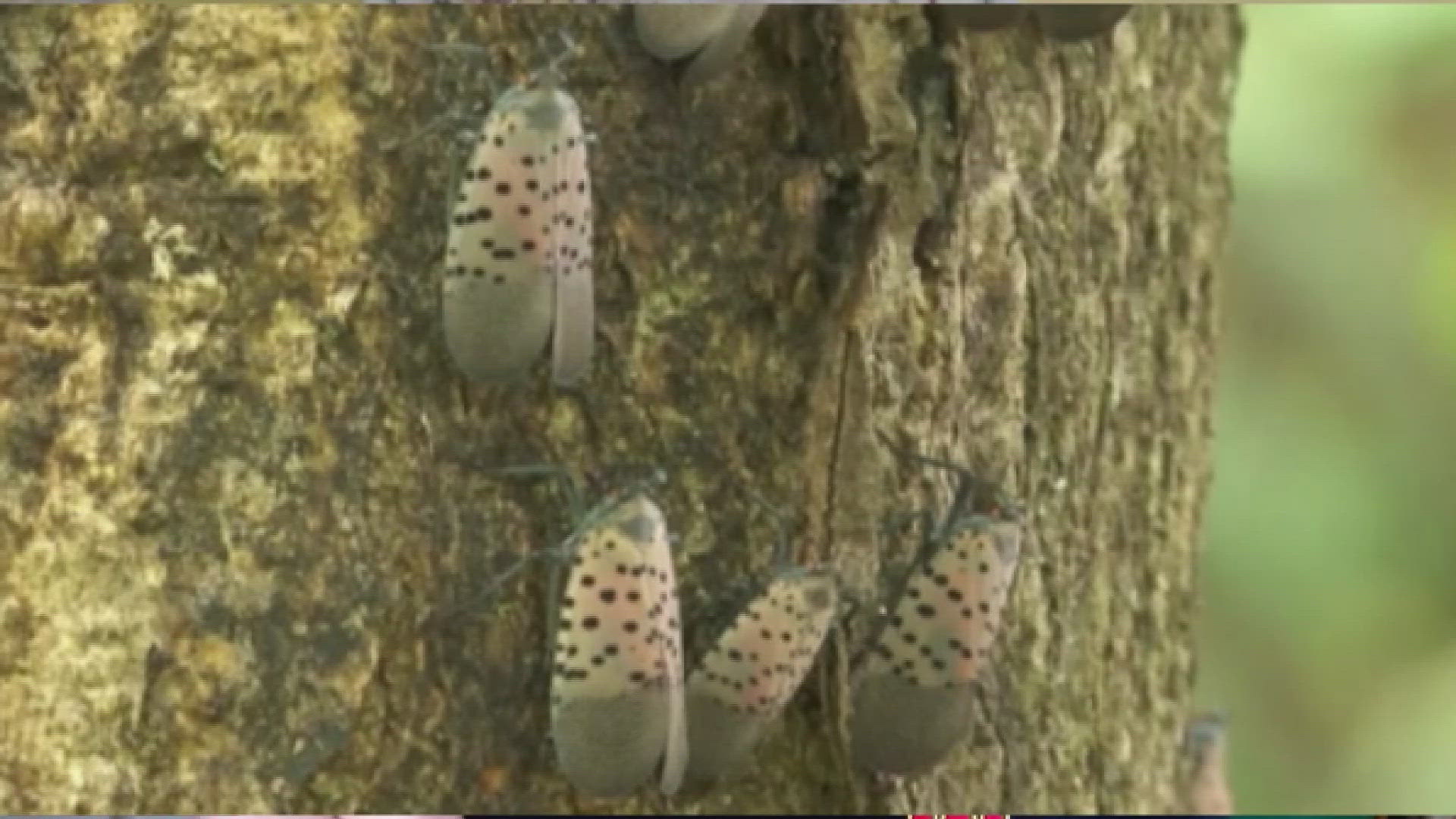 Power outages occur throughout Virginia as Dominion Energy works to ...