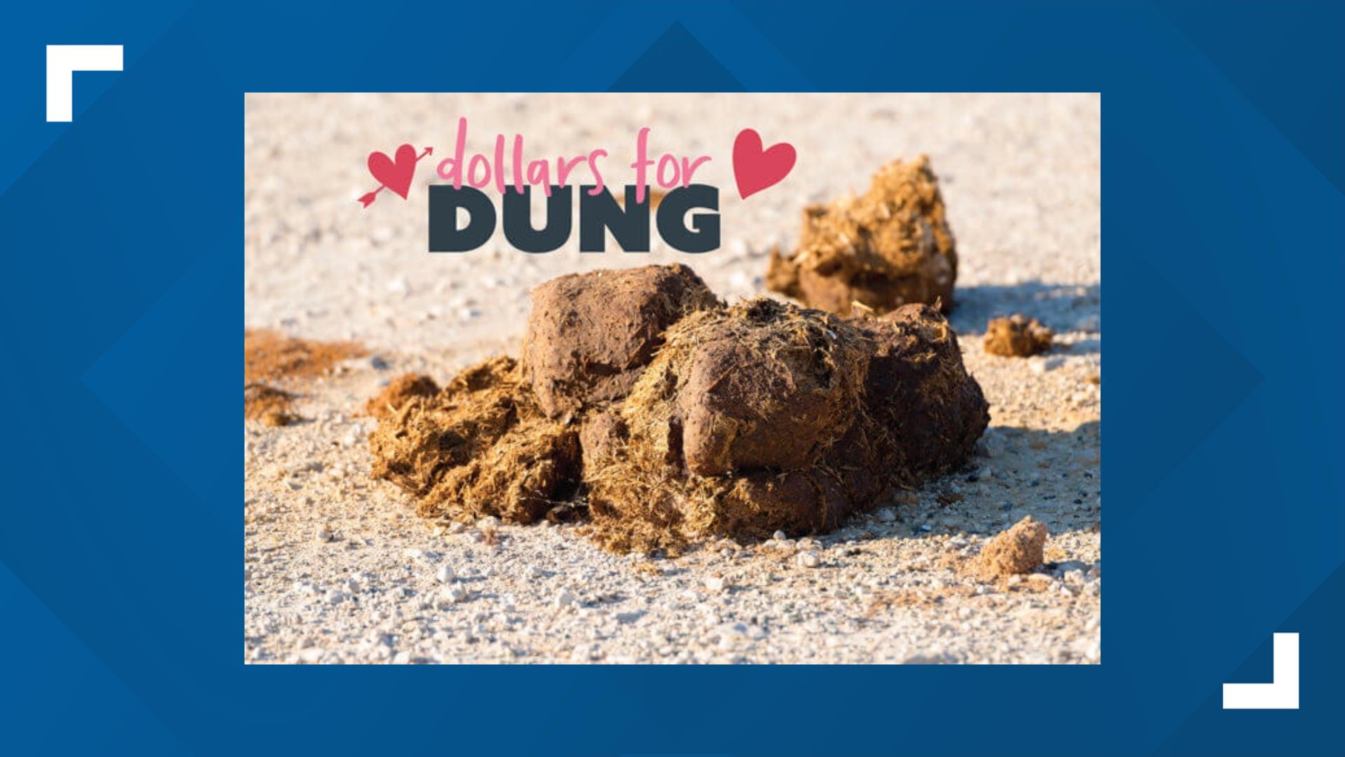 Name a pile of animal poop after your ex this Valentine's Day | wusa9.com