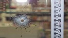 Investigator gives inside look at the Beltway Sniper case | wusa9.com
