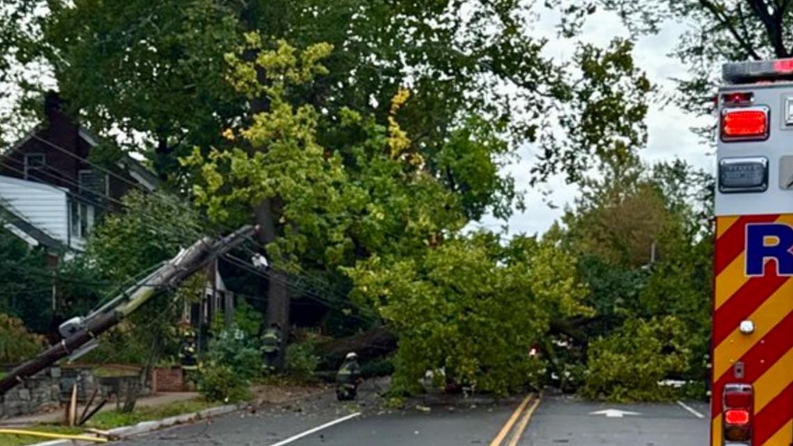 Tree falls on car in DC, driver unhurt | wusa9.com