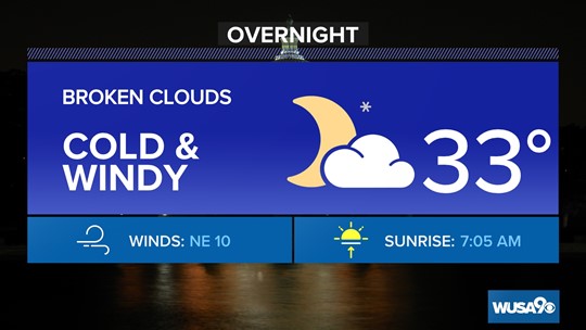 Finding Quander: The journey of one of America’s oldest documented ...