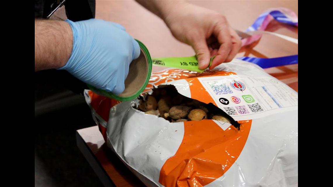 Poppy pods seized at Dulles Airport after smuggling attempt | wusa9.com