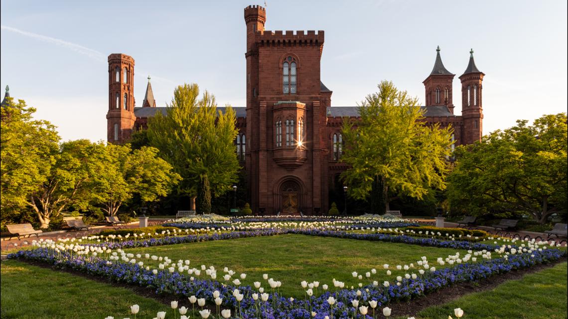 Smithsonian Castle to reopen temporarily for America 250 amid ...