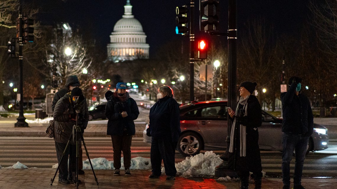 PHOTOS: Rare snowy owl spotted on Capitol Hill in DC | wusa9.com