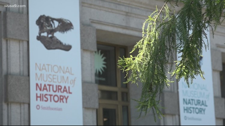 Investigator gives inside look at the Beltway Sniper case | wusa9.com