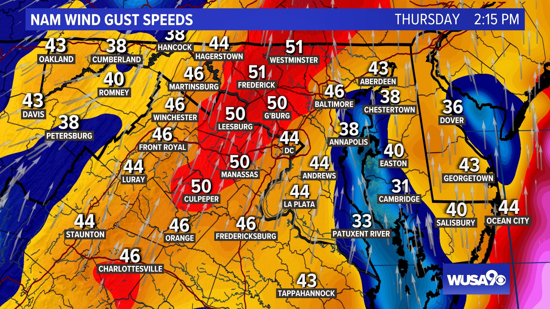 PHOTOS: Annie Hawkins-Turner Holds World's Largest Natural Breasts ...