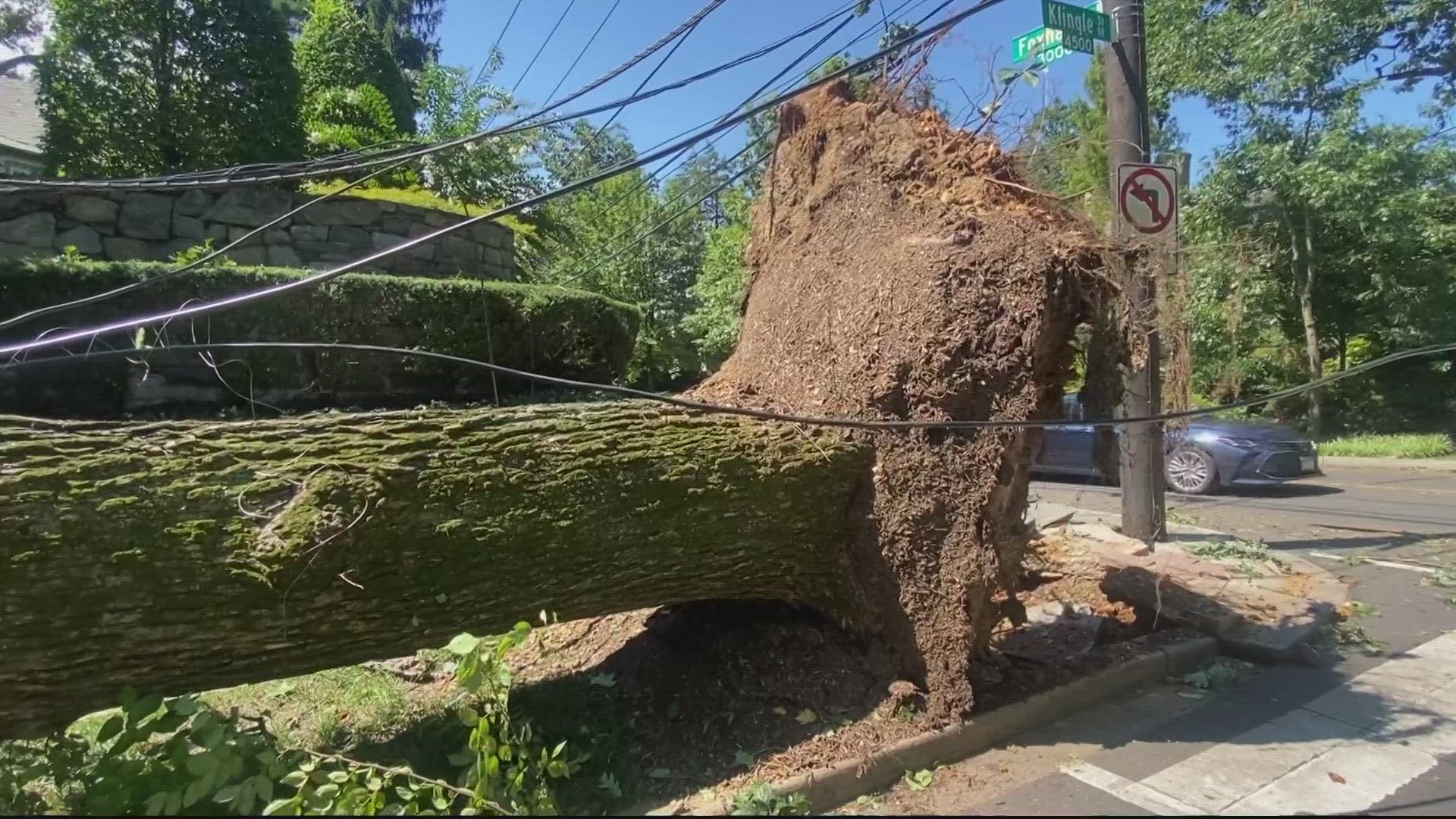 Storm damage cleanup in the DMV | wusa9.com