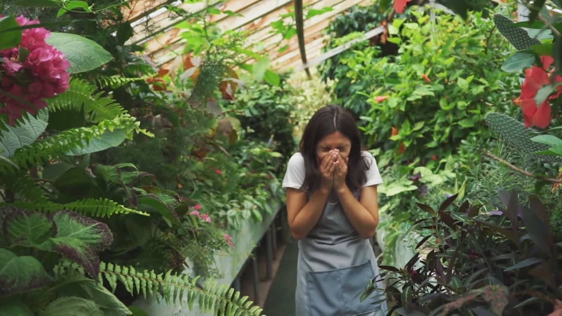 Randi Ayala - Journalist Profile - Intelligent Relations