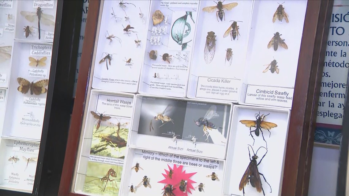 Summer bugs are here earlier and it has to do with climate change ...