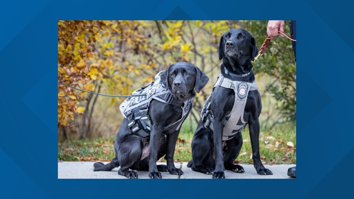 Virginia police get new electronic detection dog | wusa9.com