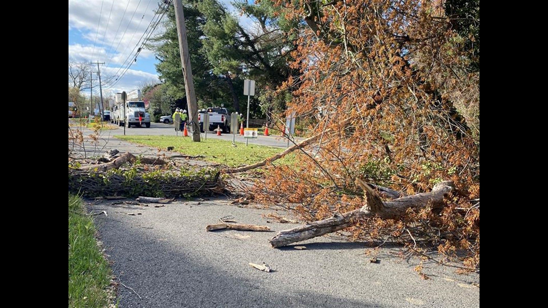 Strong winds in DC could mean downed trees, power lines | wusa9.com