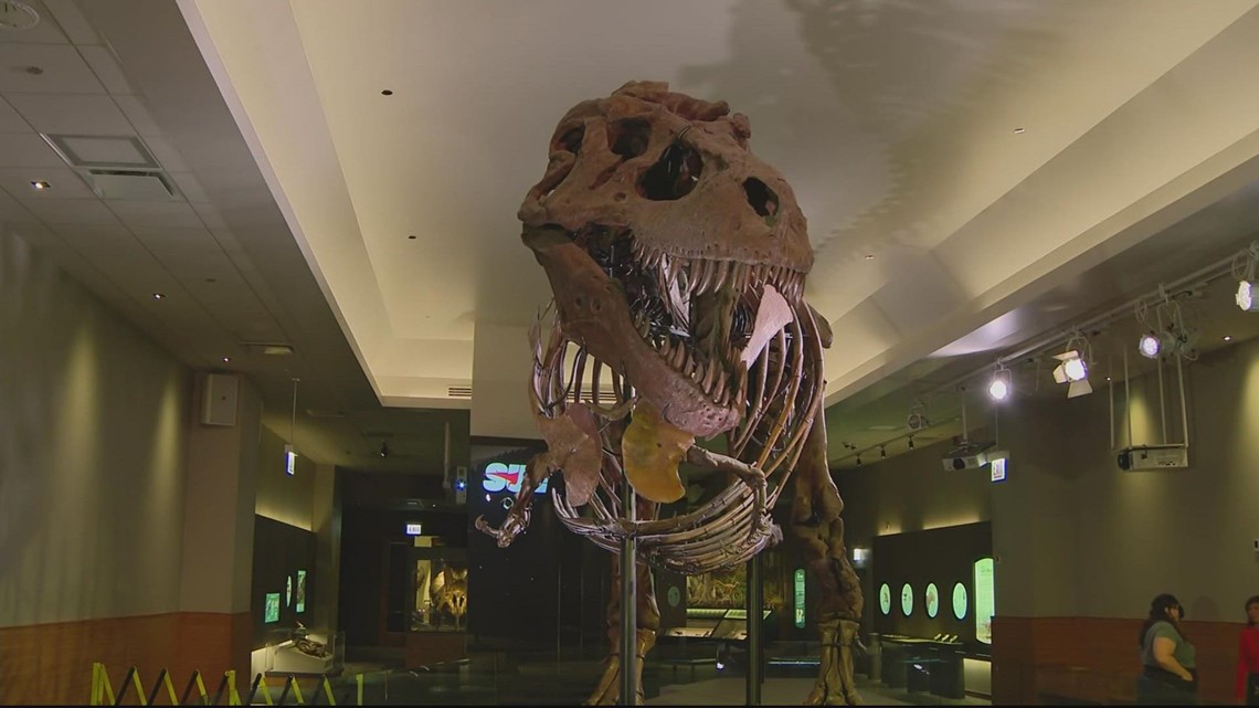 Sue the T. Rex has arm removed for science | wusa9.com