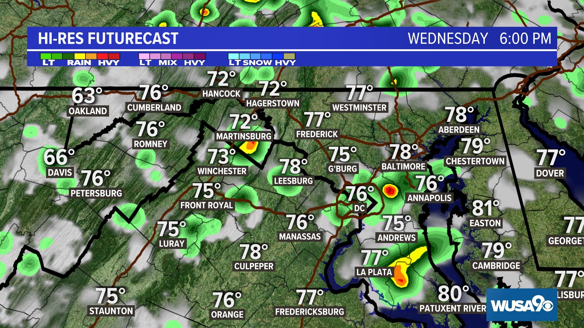 PHOTOS: Annie Hawkins-Turner Holds World's Largest Natural Breasts ...