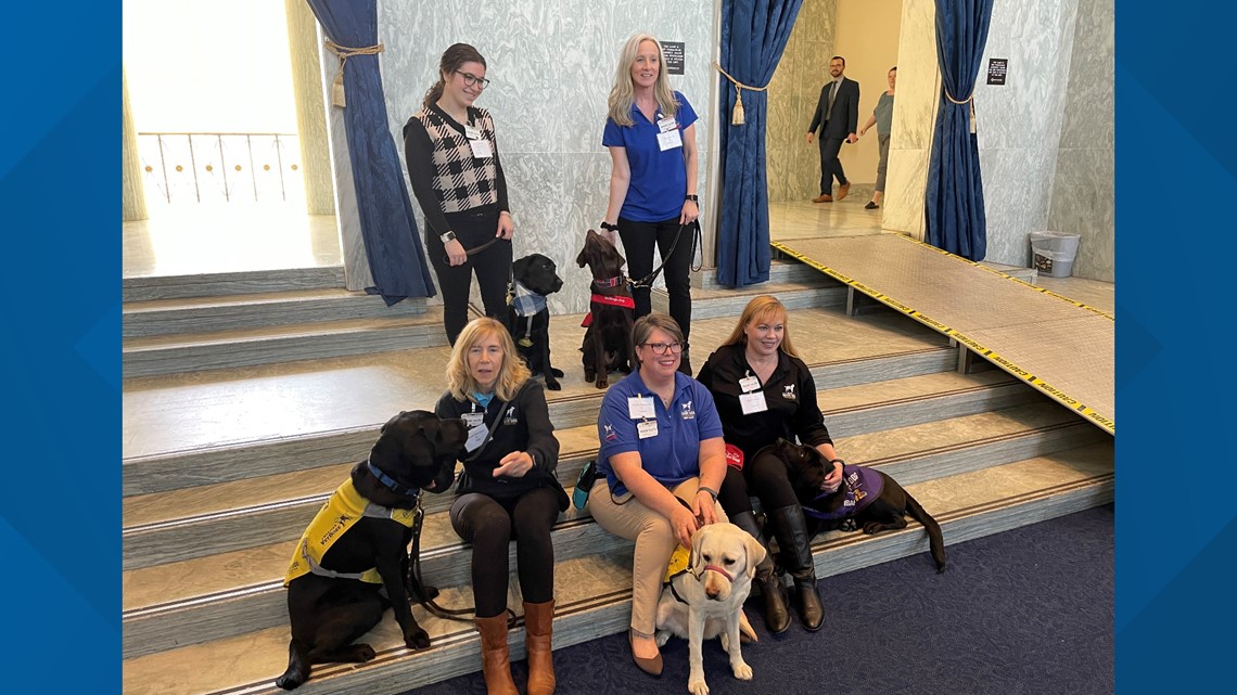 Service dogs take to Capitol Hill to support coin act | wusa9.com