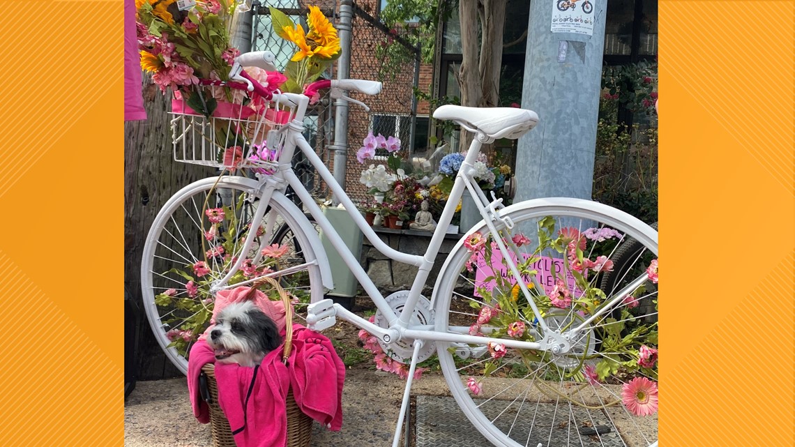 Memorial bike ride to honor life of US diplomat | wusa9.com