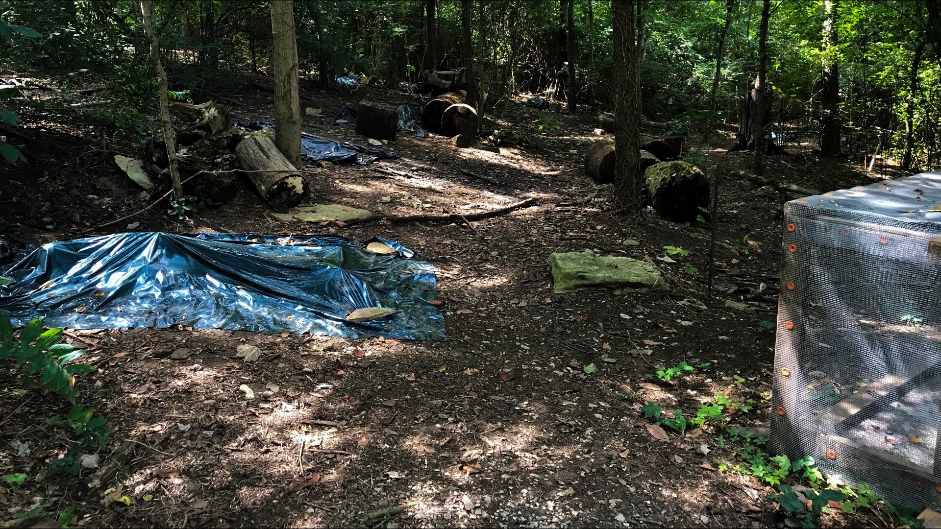 Inside The Body Farm: The dead do speak | wusa9.com
